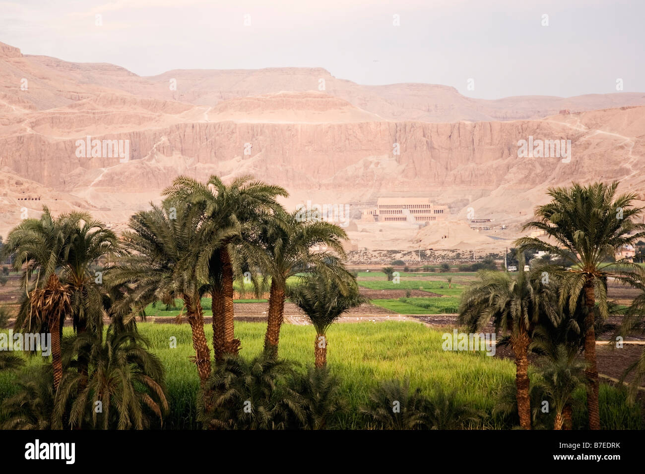 Luxor, Egypt. Aerial view of the Temple of Hatshepsut Stock Photo - Alamy
