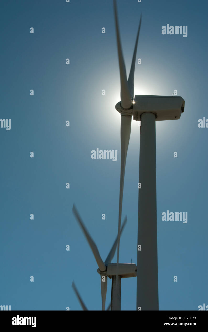 Electric power transmission California North Palm Springs Wind Turbines ...