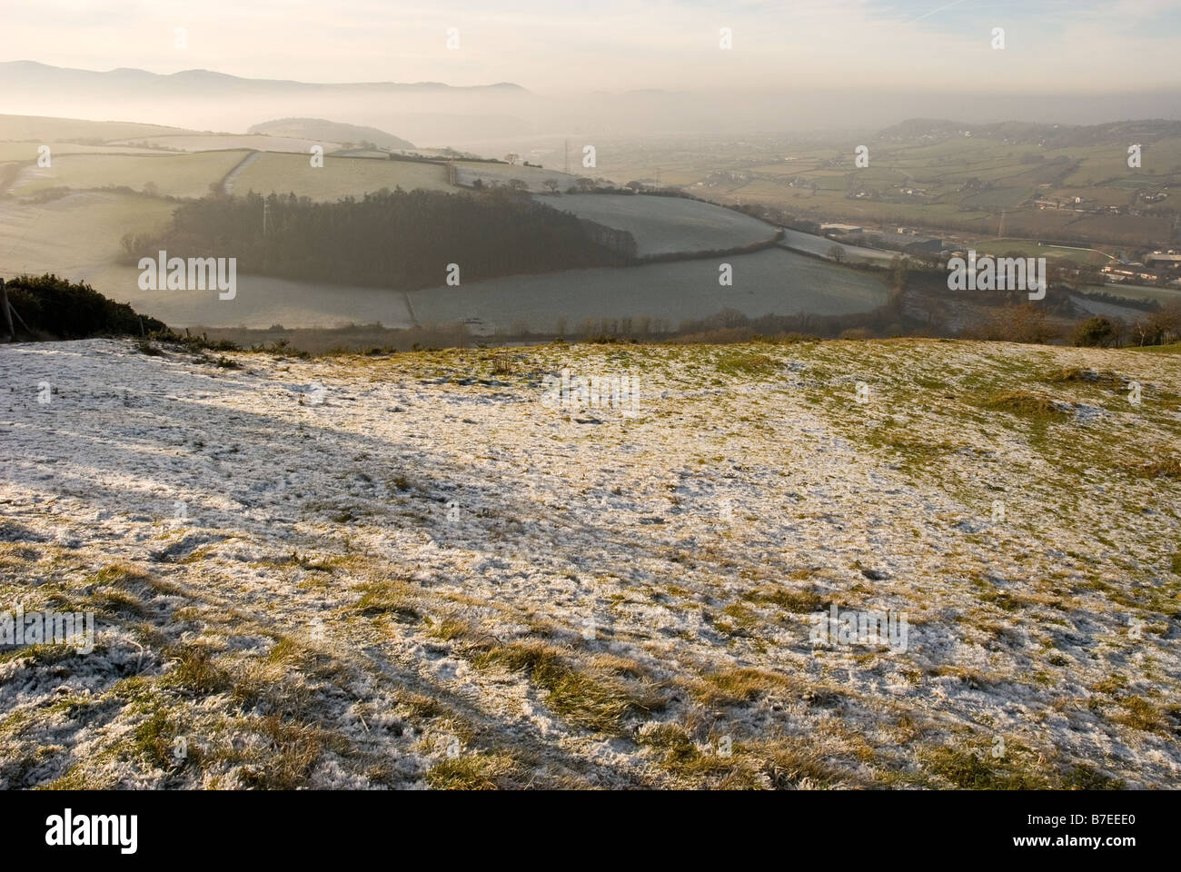Frost covered field (UK Weather Stock Photo - Alamy