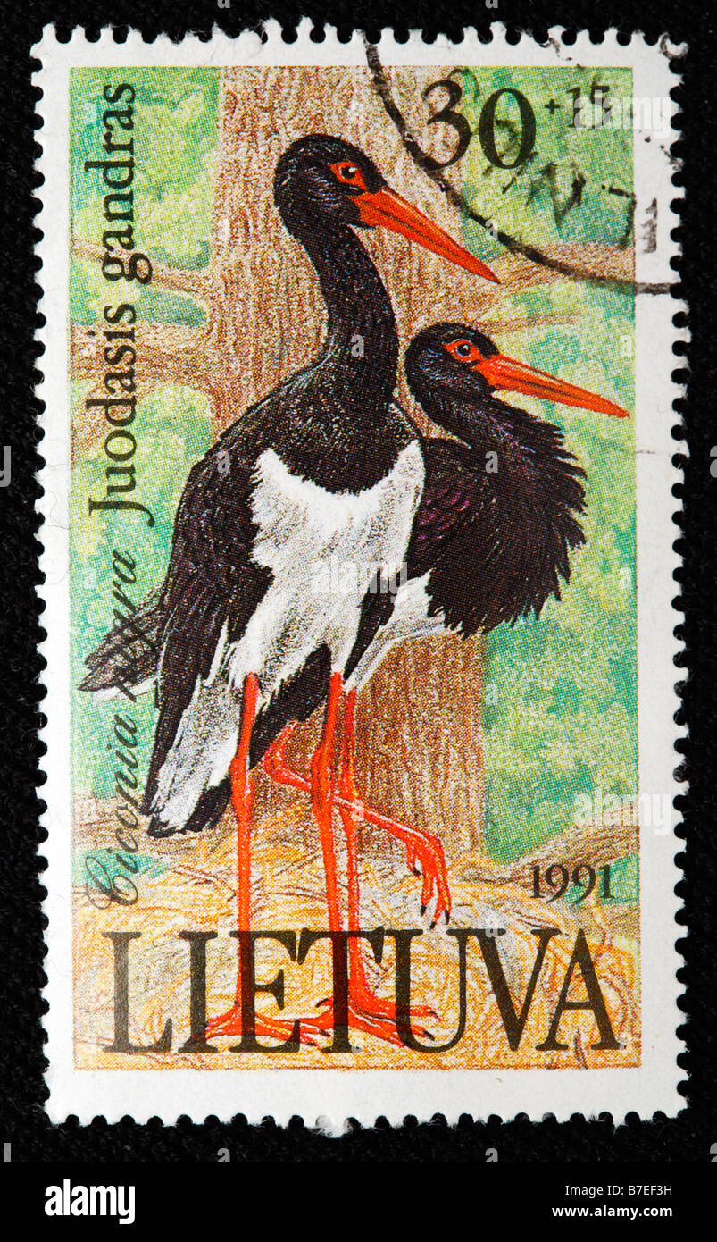 Black Stork (Ciconia nigra), postage stamp, Lithuania, 1991 Stock Photo ...