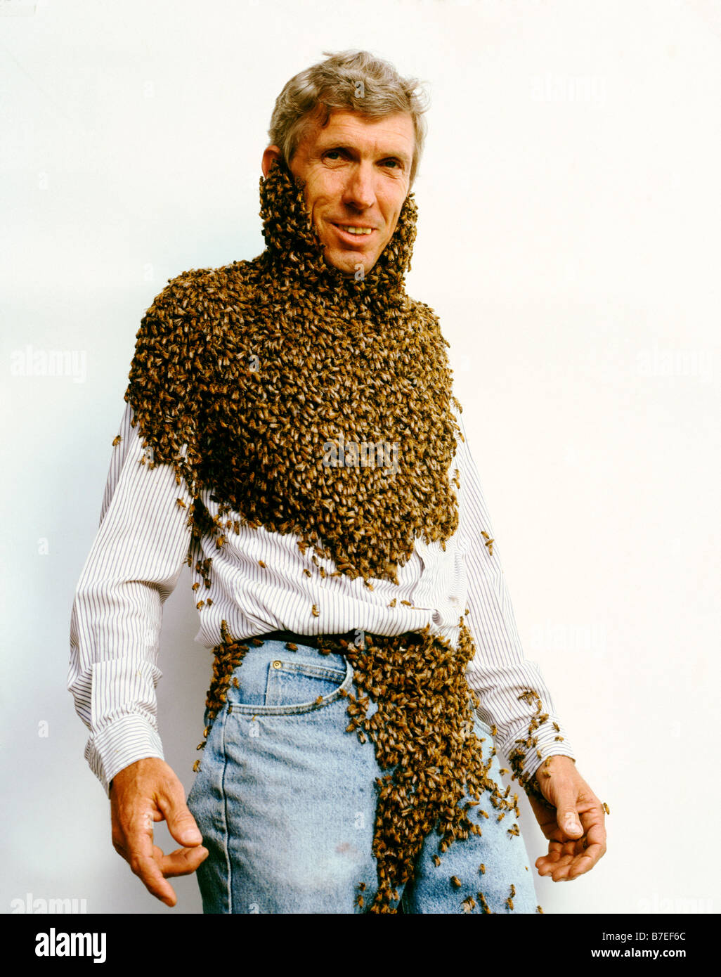 My bee hi-res stock photography and images - Alamy