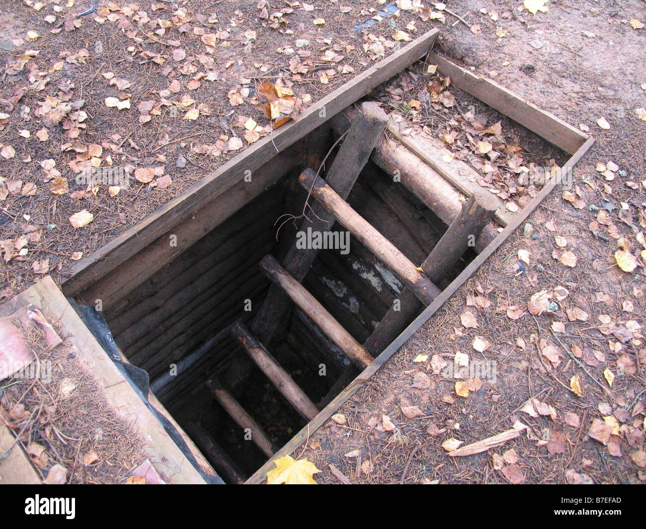 Forest Brothers Farm in Võru County, Estonia, Europe, Undercover ...