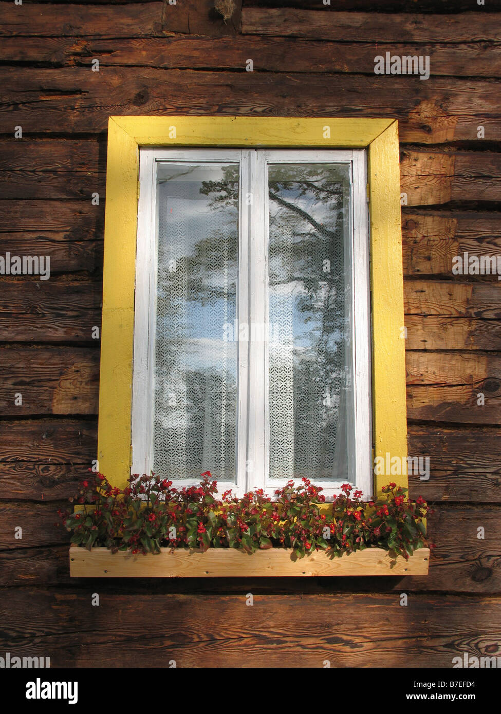 Tree blockhouse hi-res stock photography and images - Alamy