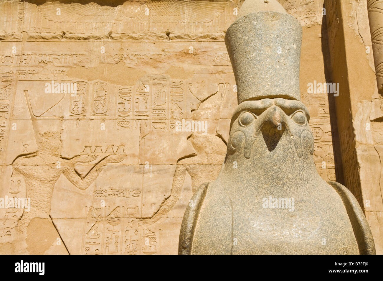 Horus as falcon hi-res stock photography and images - Alamy