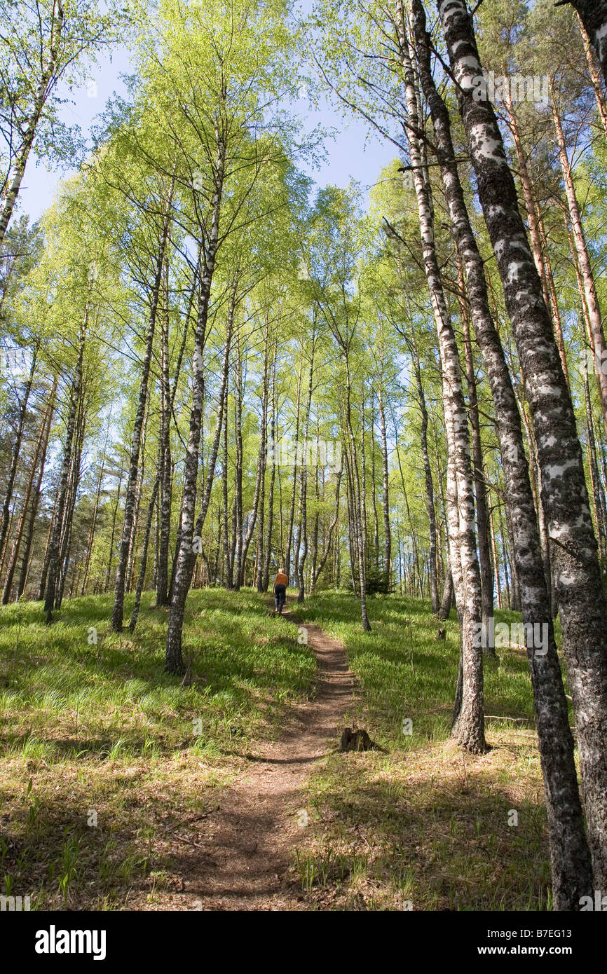 North-Kõrvemaa, Landscape Protection Area, Harju County, Estonia ...