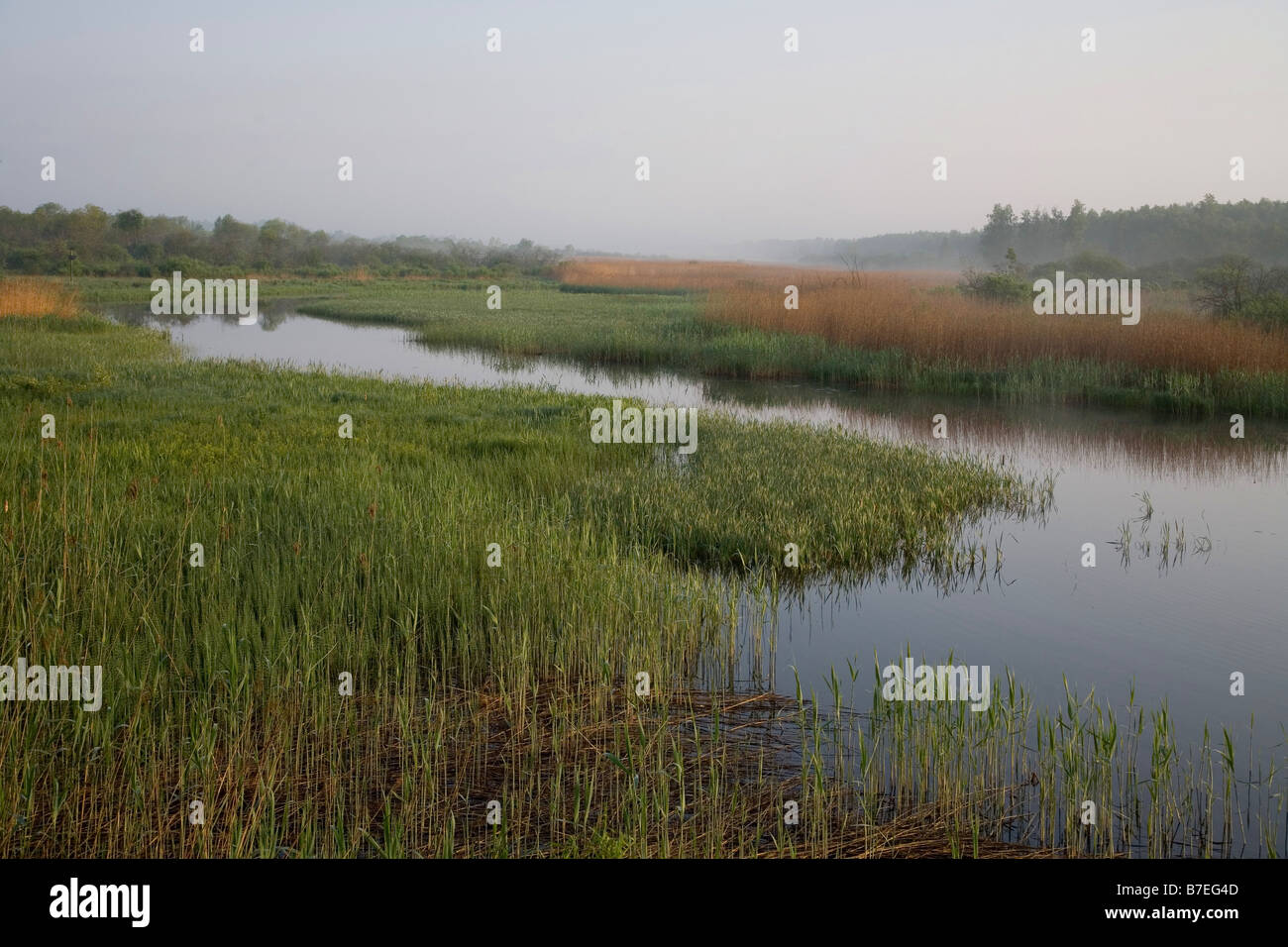 Elva River, Tartu County, Estonia, Europe Stock Photo - Alamy