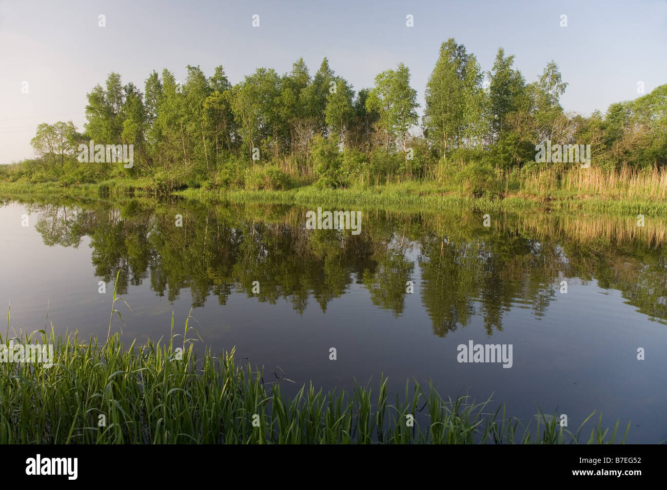 Elva River, Tartu County, Estonia, Europe Stock Photo - Alamy