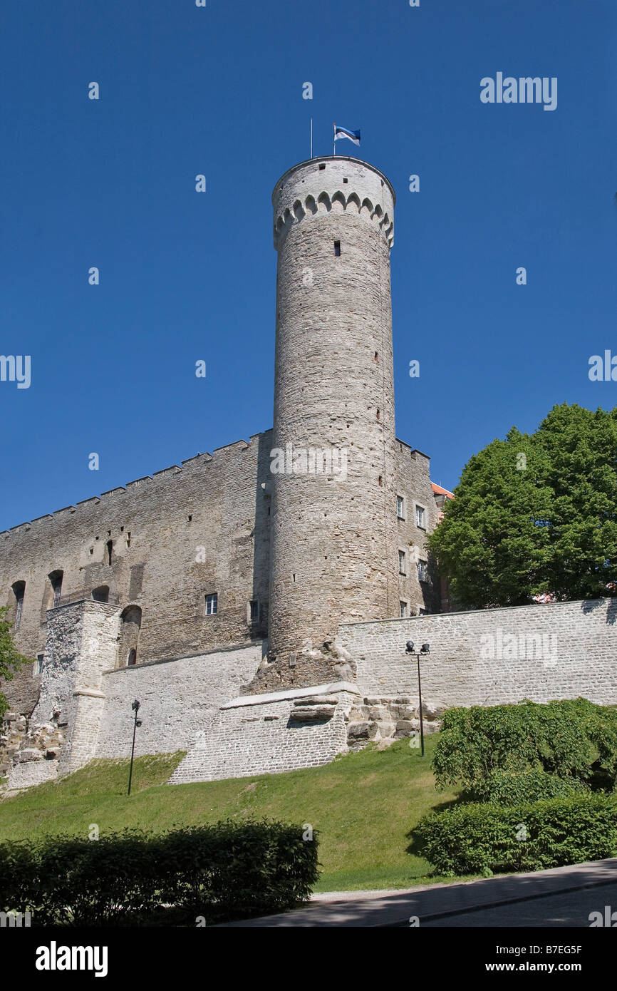 Tall Hermann Tower Pikk Hermann Tower, Tallinn, Estonia, Europe Stock ...