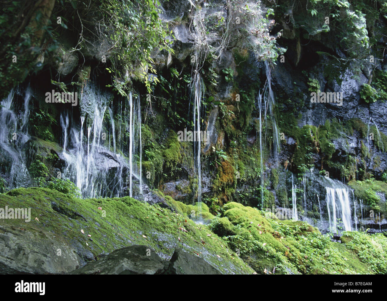 Kitago cho hi-res stock photography and images - Alamy