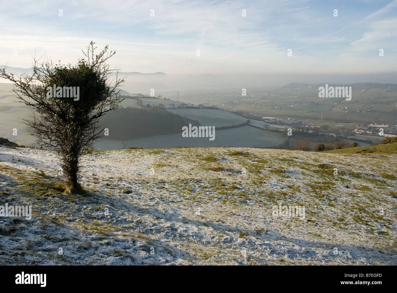 Frost covered field (UK Weather Stock Photo - Alamy