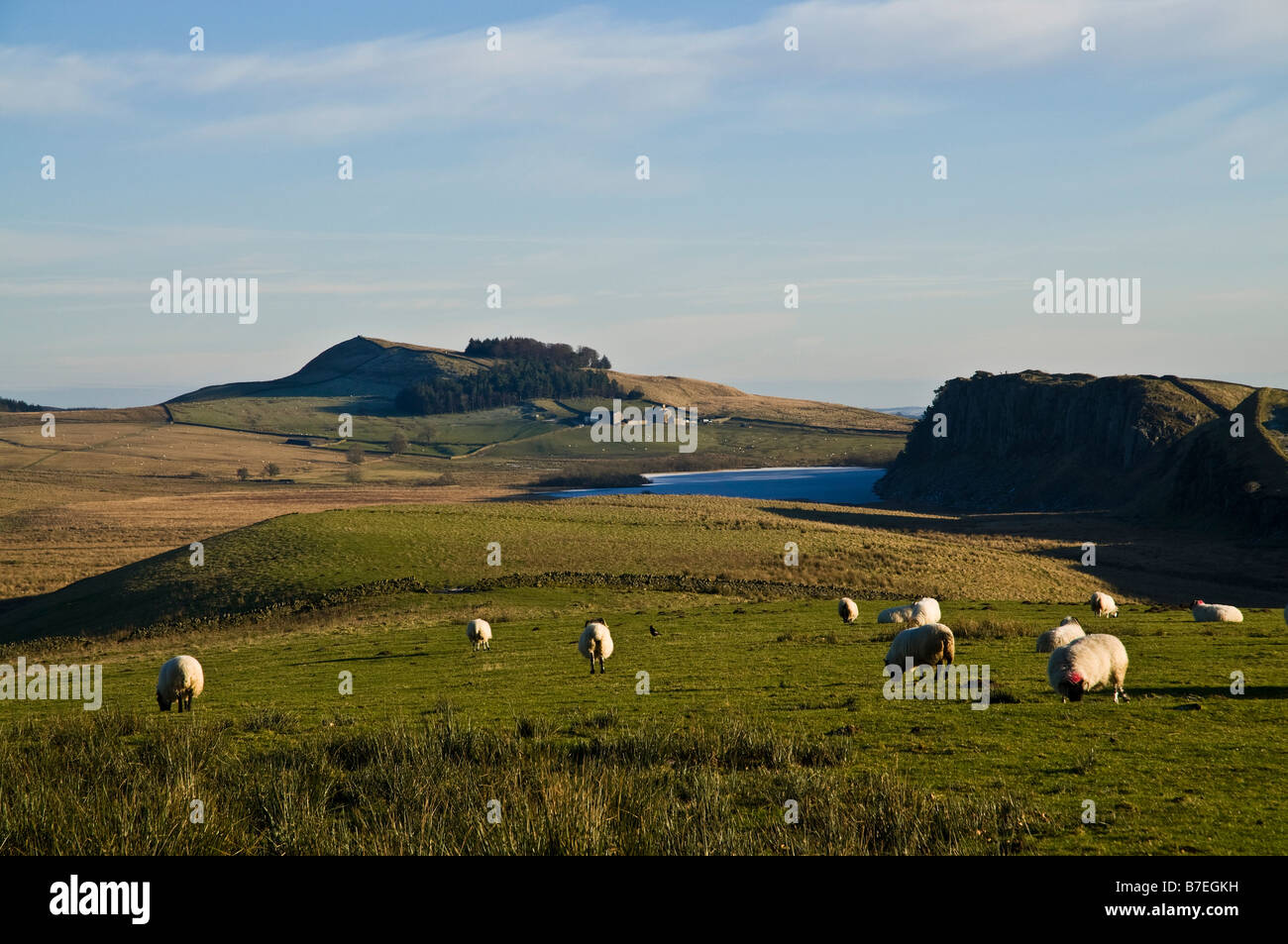 Northumberland national park hi-res stock photography and images - Alamy