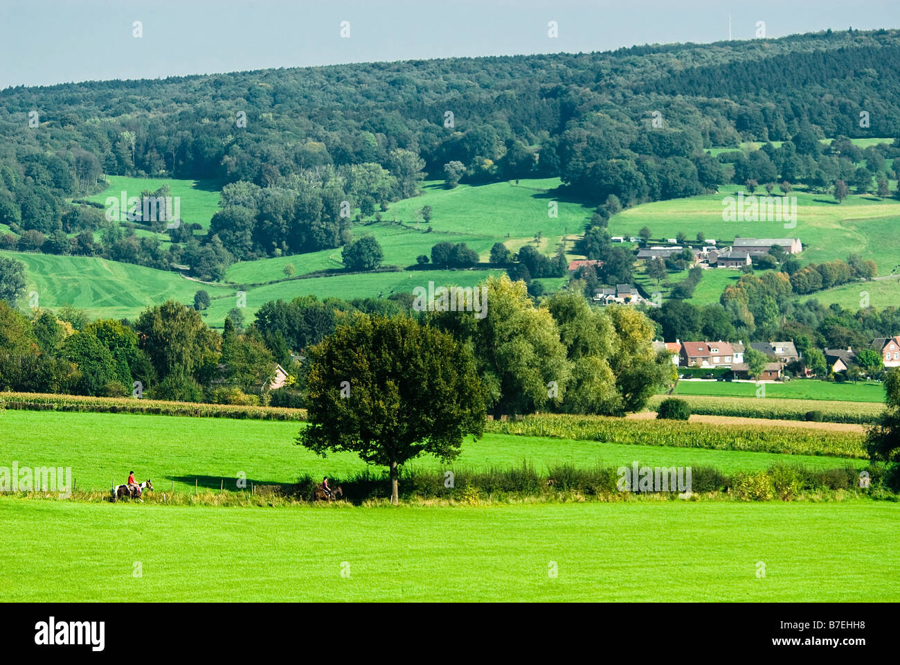 beautiful farmland landscape Stock Photo - Alamy