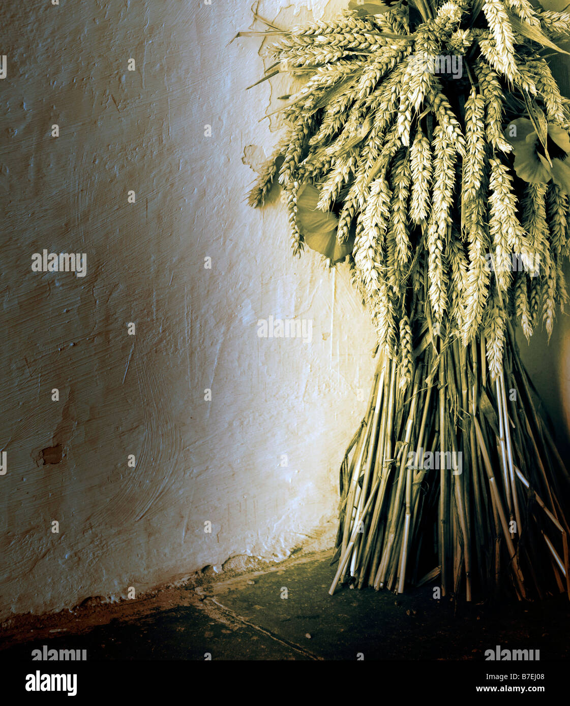 Corn wall hi-res stock photography and images - Alamy