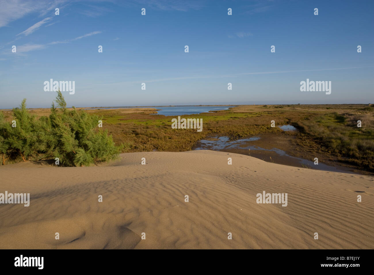 Estuary, Delta of the river Ebro Mediterranean, Spain Stock Photo - Alamy