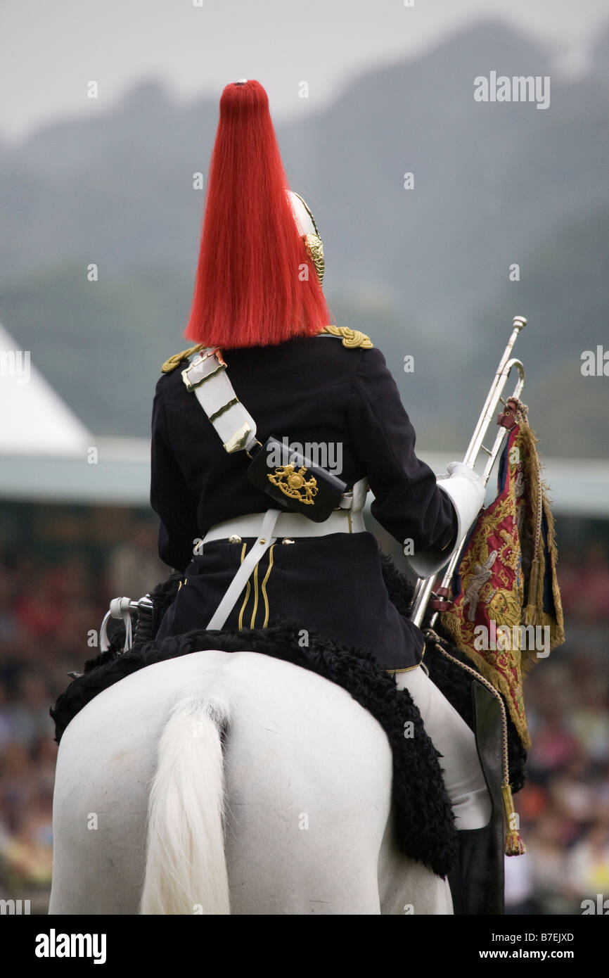 Back view of mounted Trumpeter at the Musical Ride of the Household ...