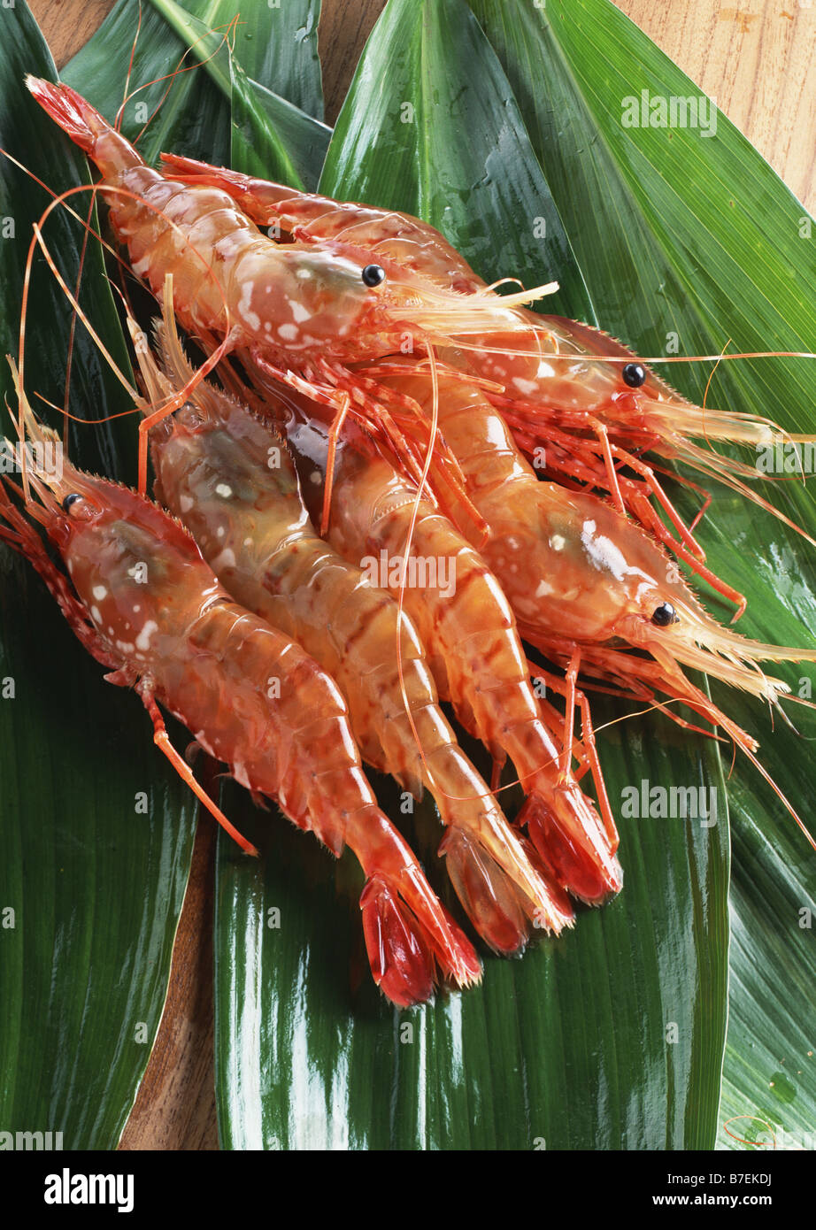 Six prawns hi-res stock photography and images - Alamy