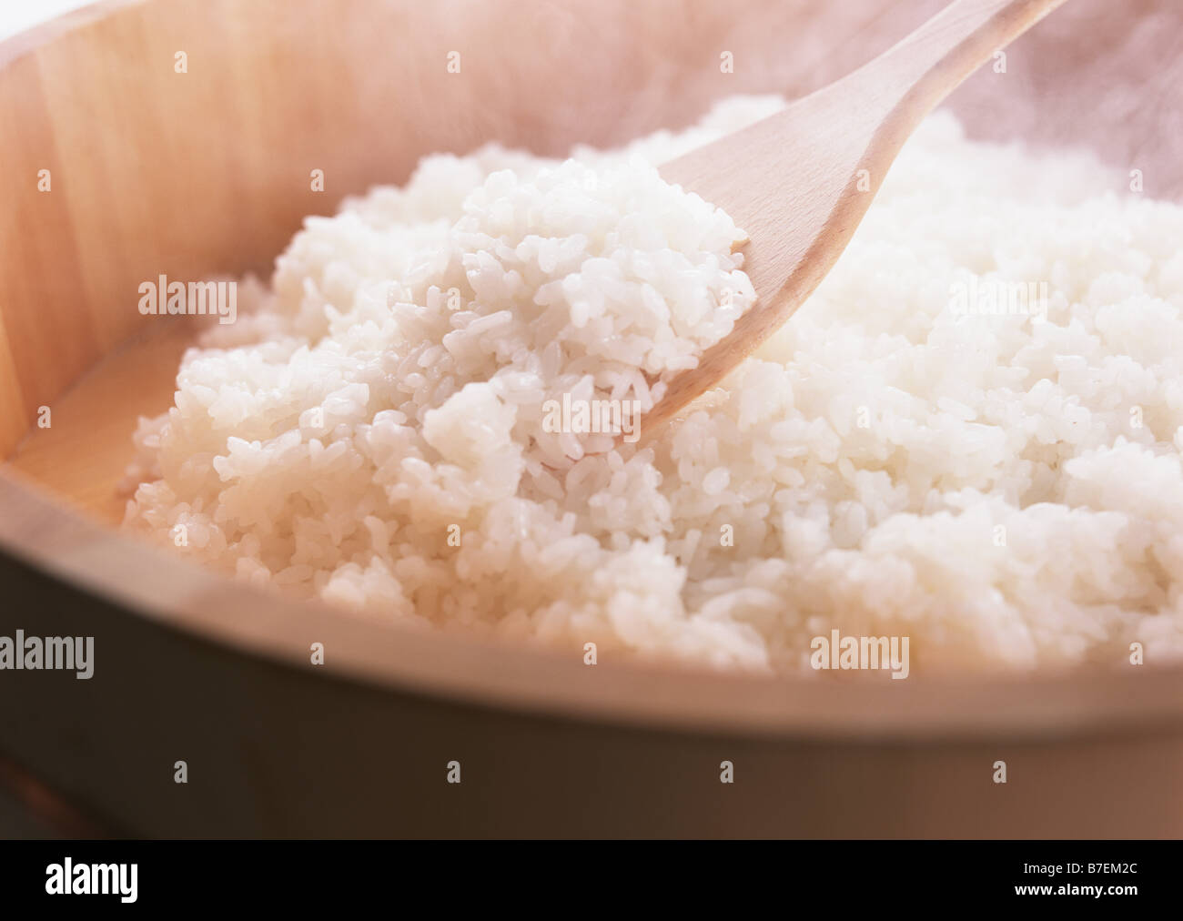 Image of Sushi rice Stock Photo - Alamy