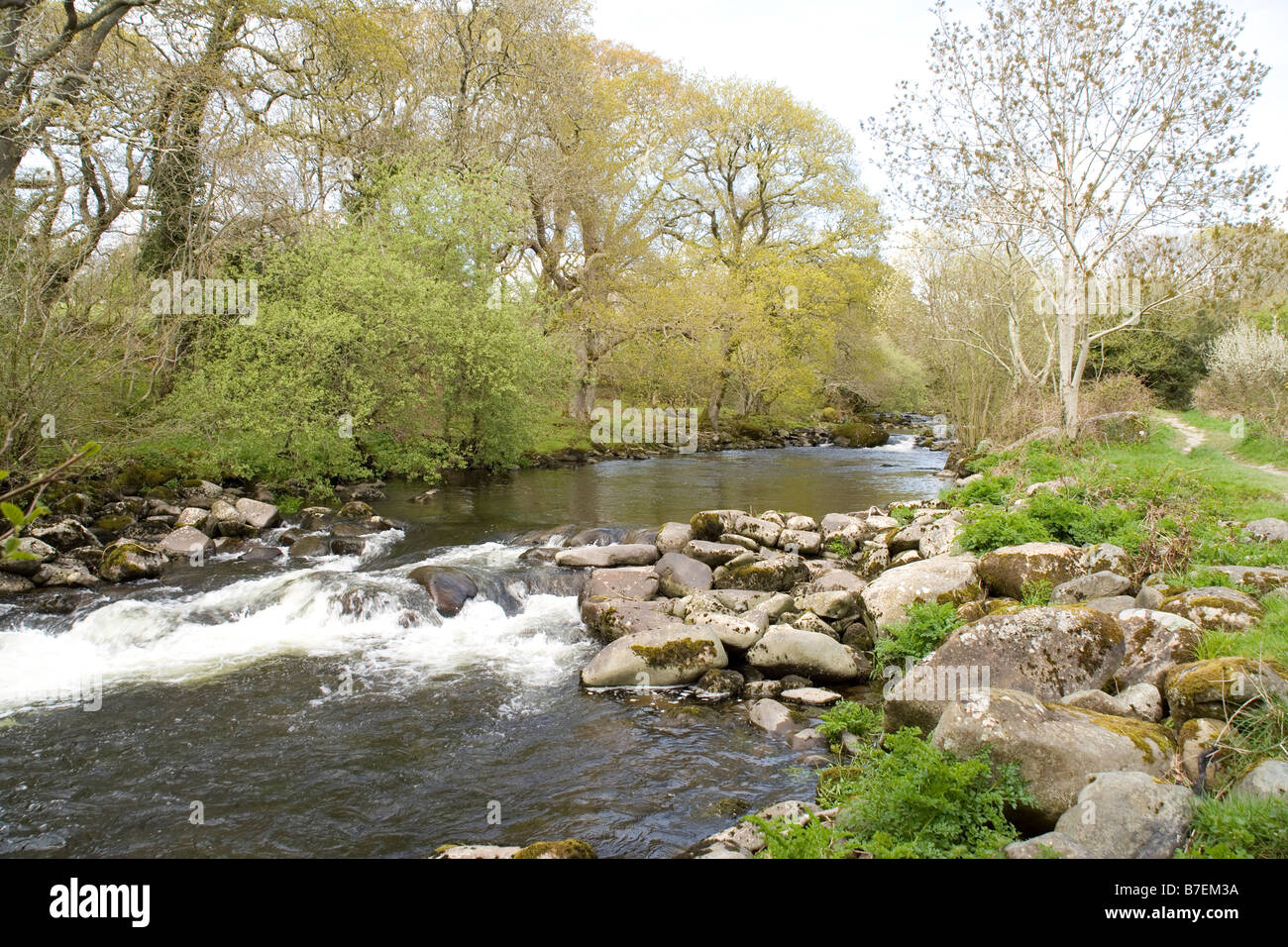 The Afon ( river) Dwyfor river valley in springtime near Criccieth in ...