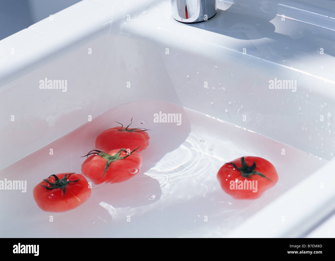 Floating tomatos in sink Stock Photo - Alamy