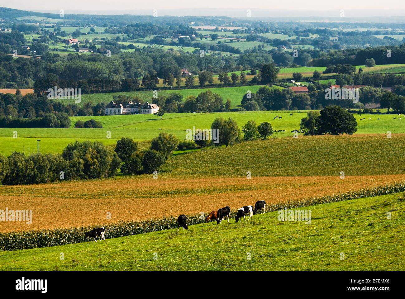 beautiful farmland landscape in autumn Limburg Holland The Netherlands ...