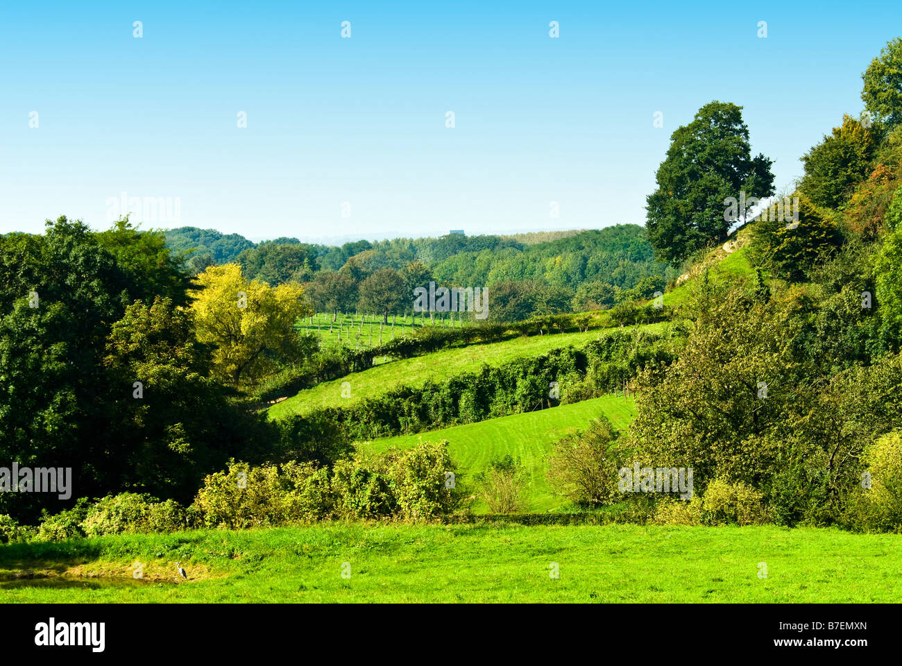 beautiful green farmland landscape scene Stock Photo - Alamy