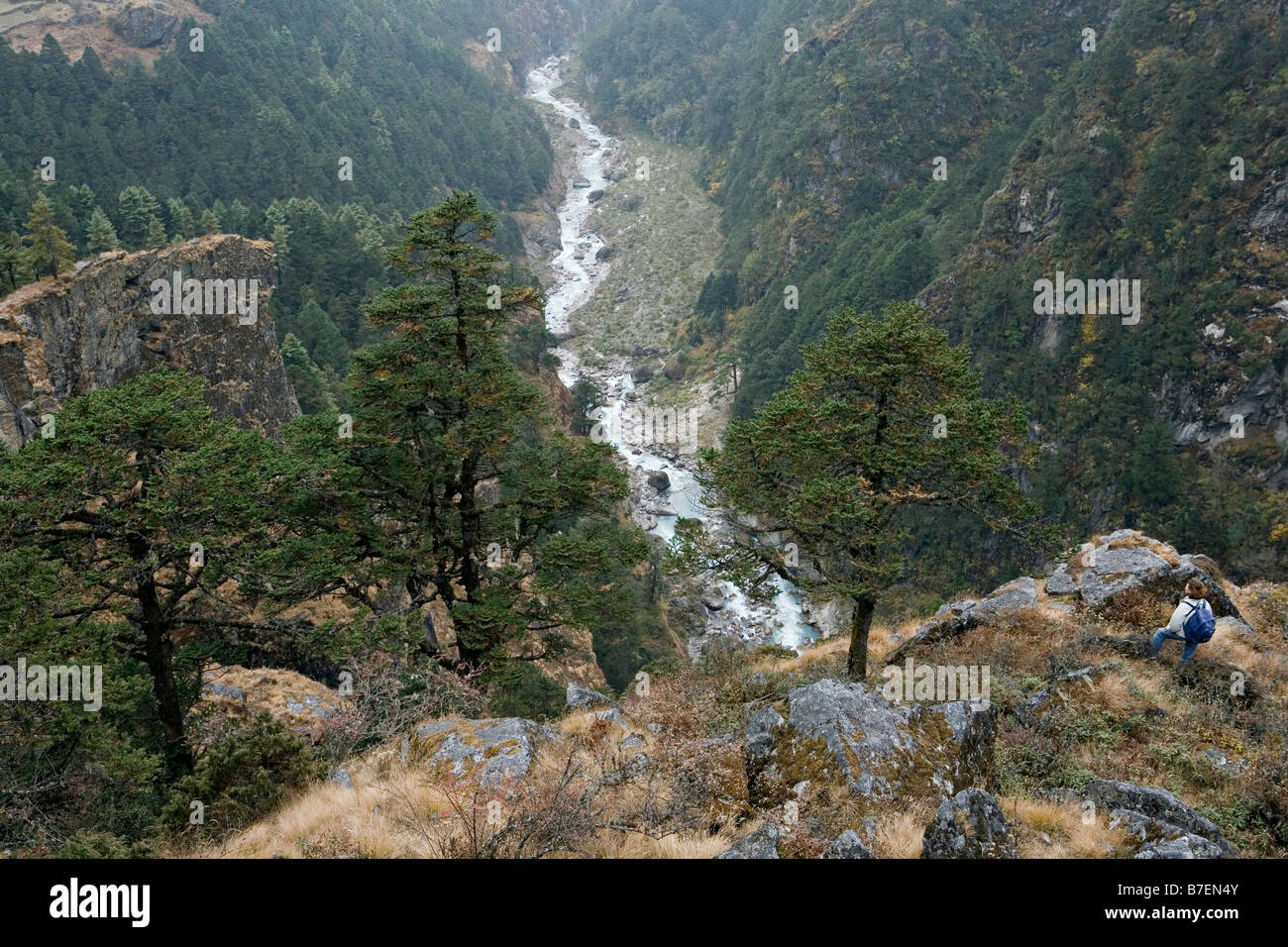 Scenic of Bhote Khosi river valley near Phurte in Sagarmatha National ...