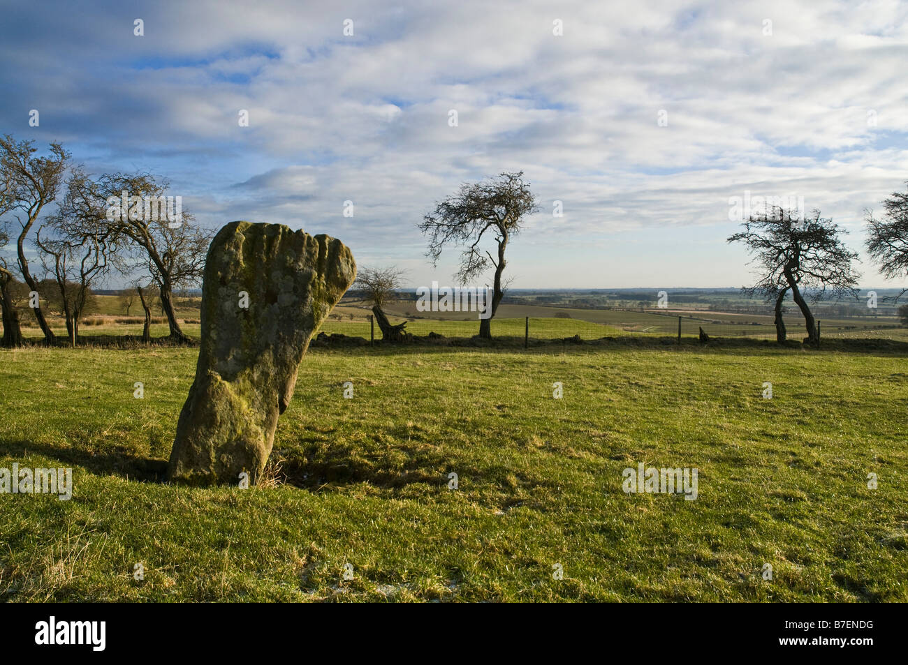 dh Warrior stone TYNEDALE NORTHUMBRIA Neolithic bronze age standing ...