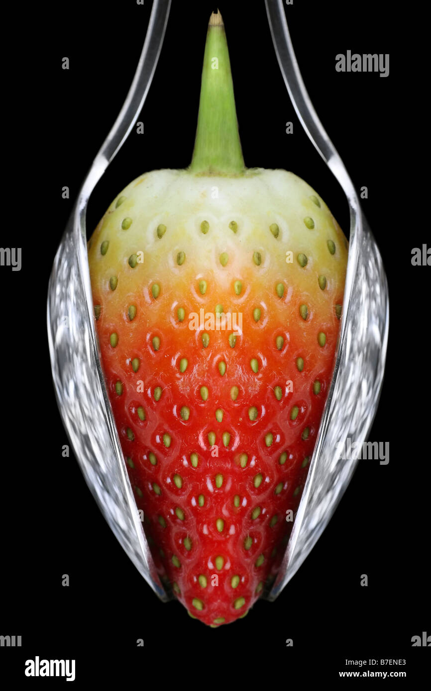 Symmetry art hi-res stock photography and images - Alamy