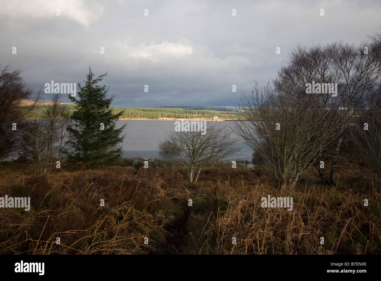 Kielder water hi-res stock photography and images - Alamy