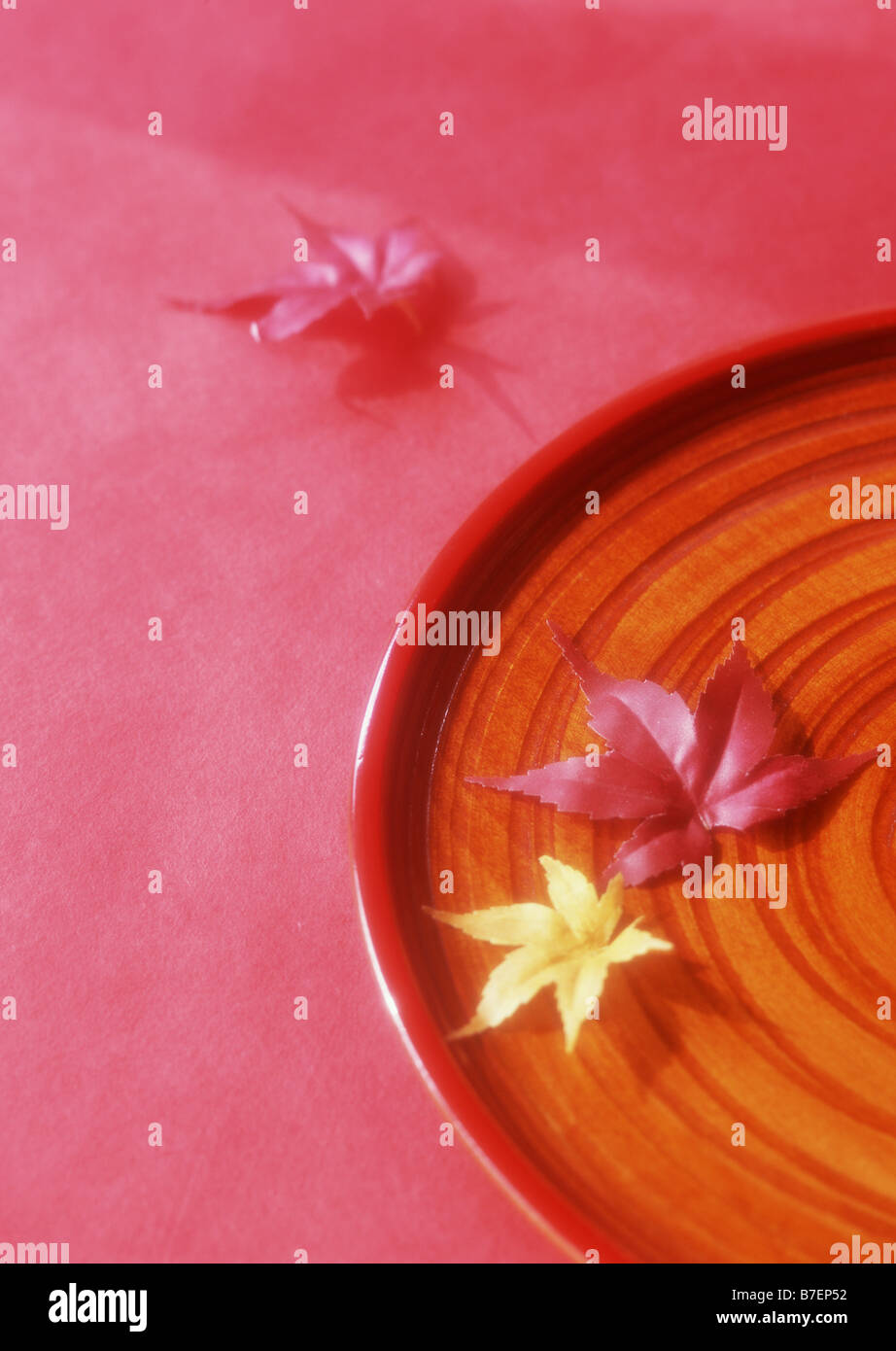 Japanese maple container hi-res stock photography and images - Alamy