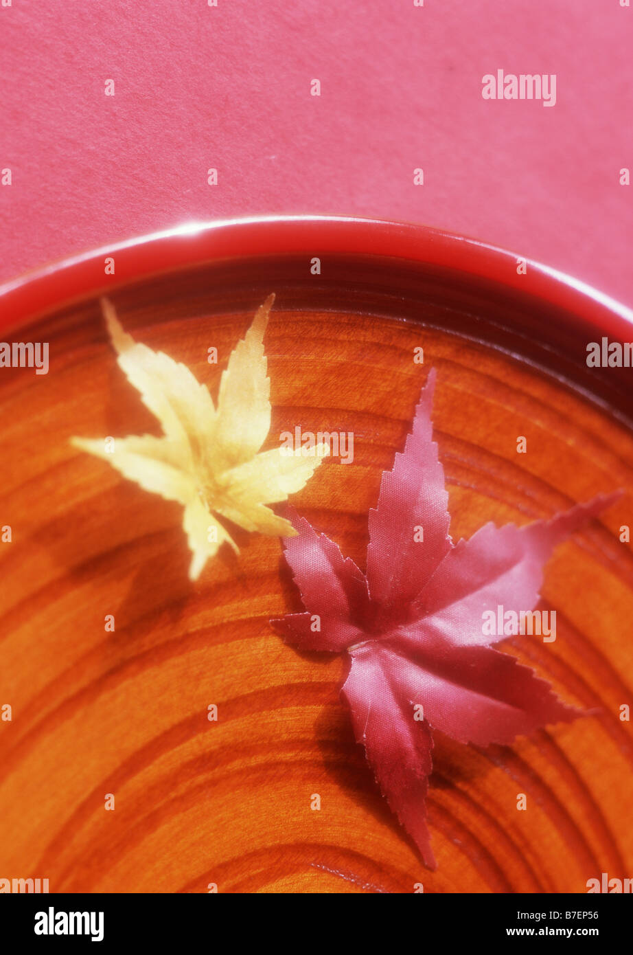 Round Tray and Maple Leaf Stock Photo - Alamy