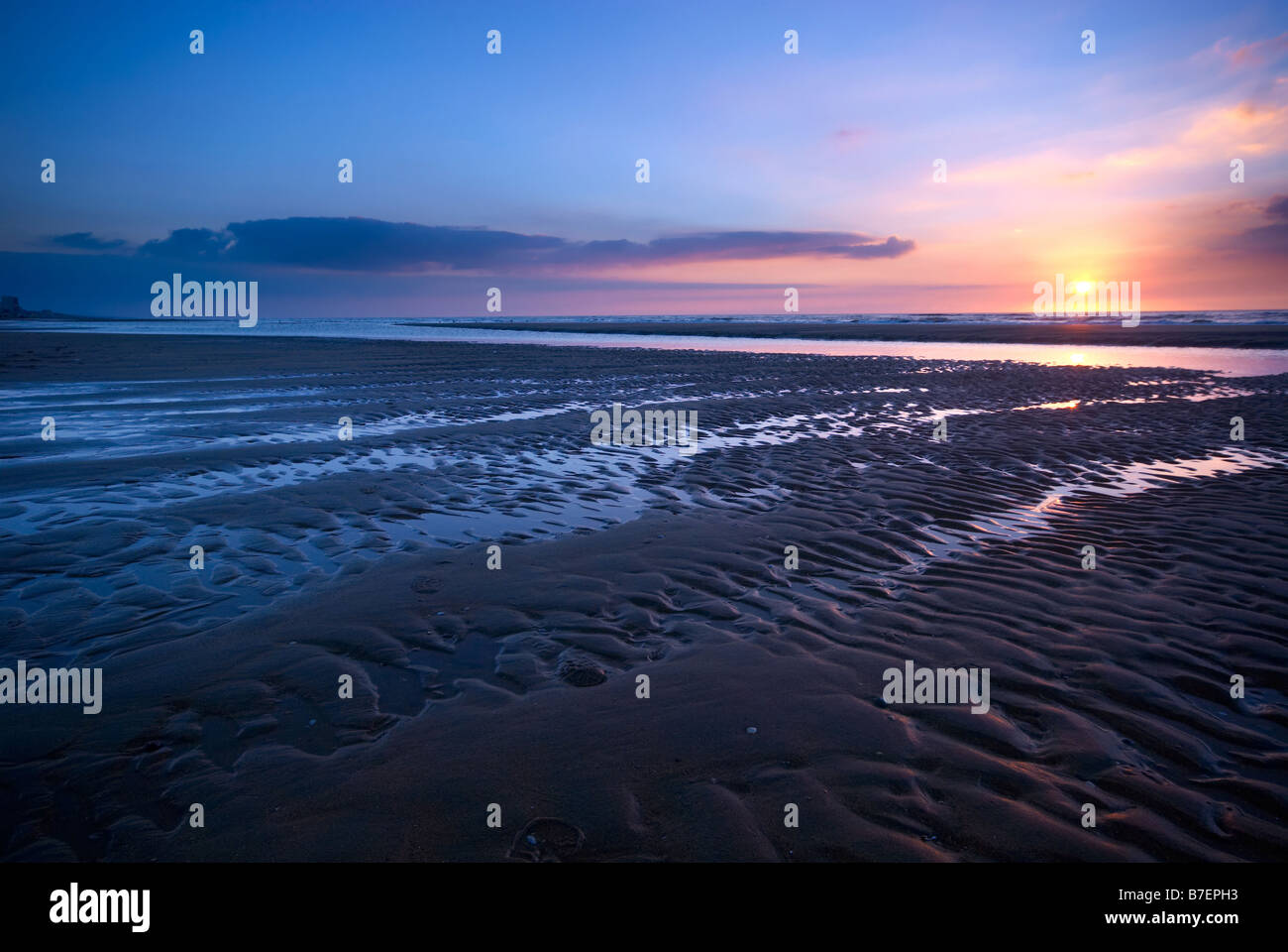 sunset on the beach in holland the netherlands Stock Photo - Alamy