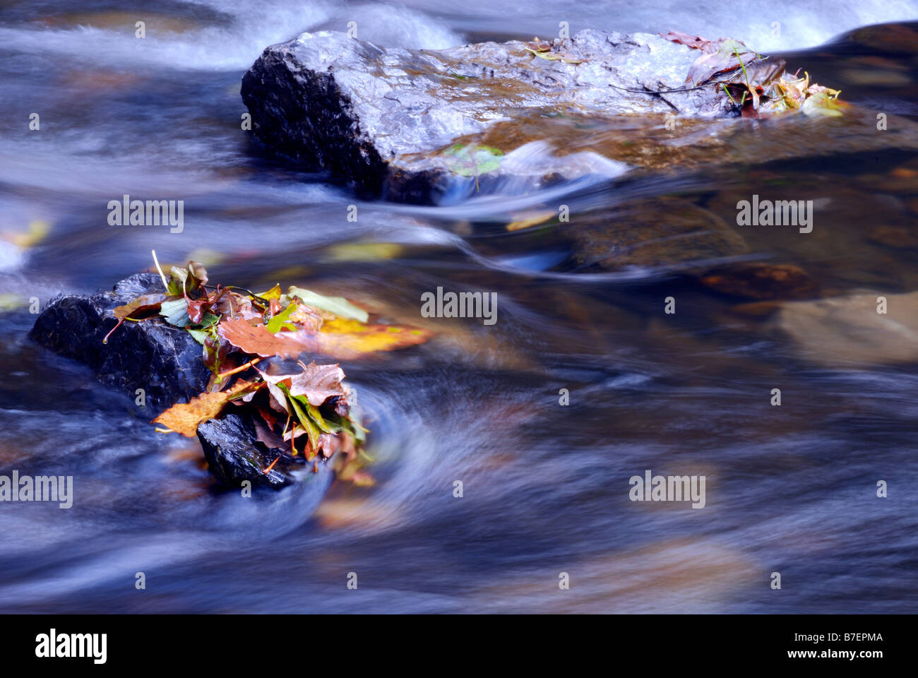 peaceful scene of autumn leaves on a rock in the river Stock Photo - Alamy