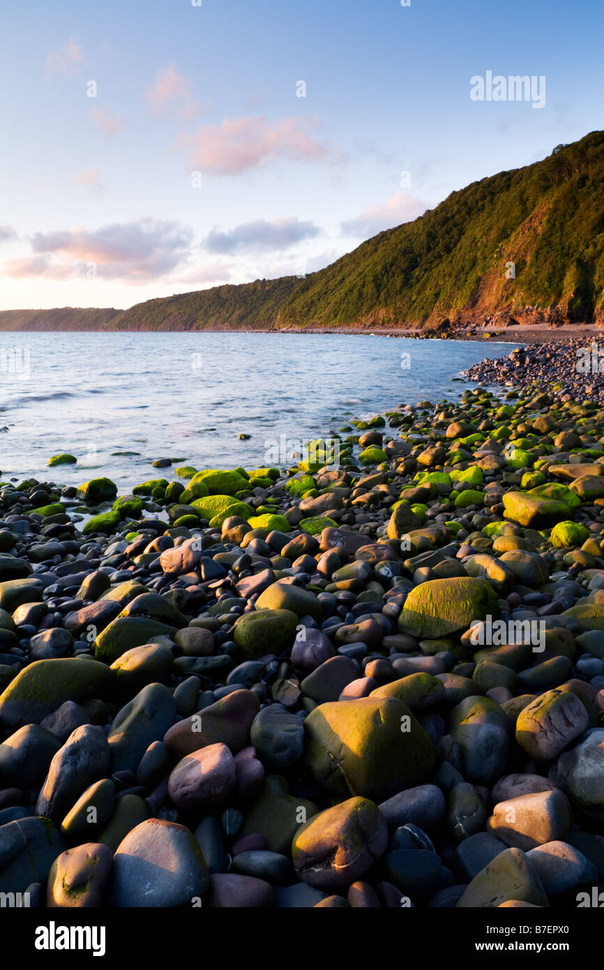 Pebbled beach Clovelly bay North Devon coast England UK Stock Photo - Alamy