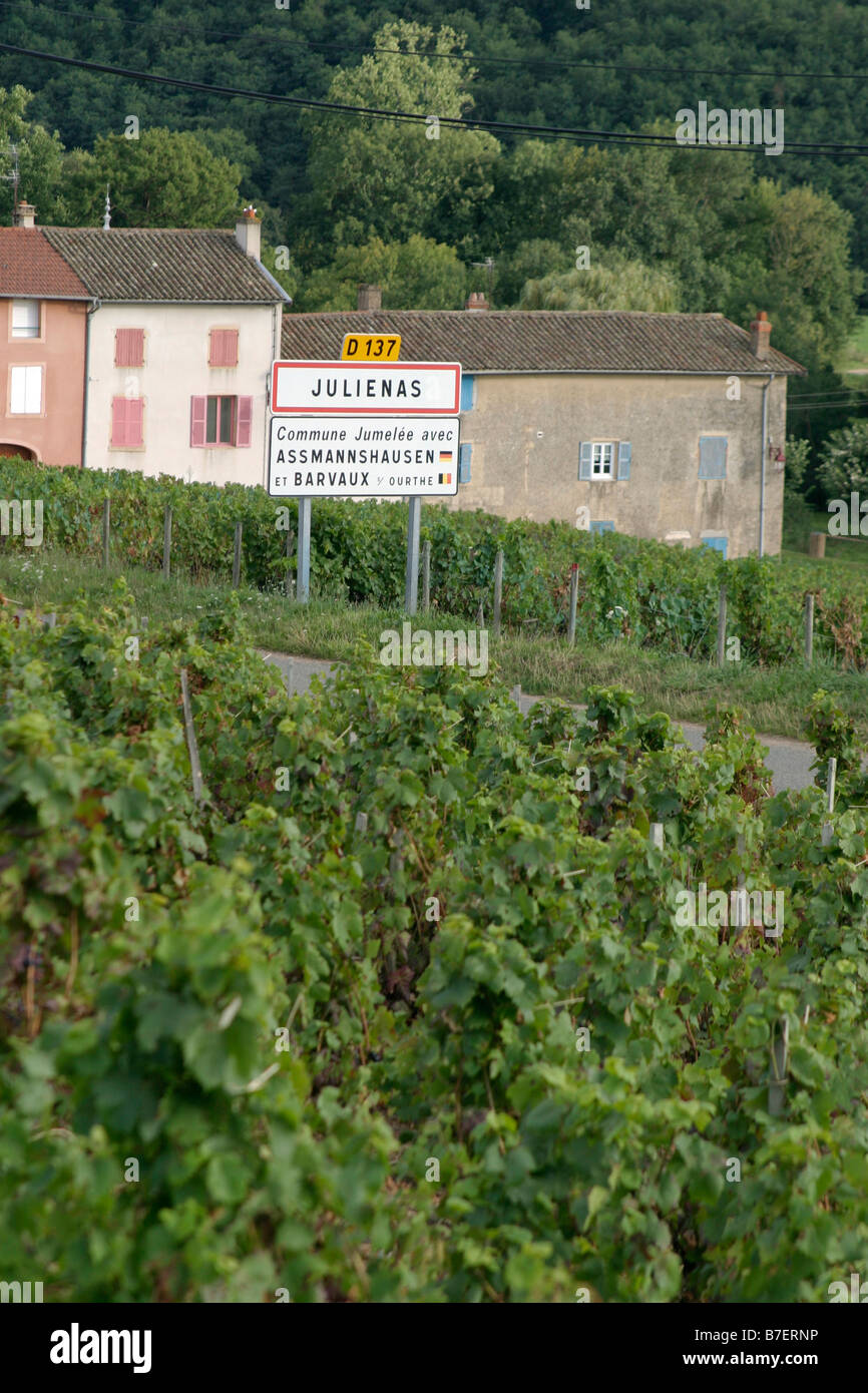 Twinning sign at Juliénas Beaujolais village France Stock Photo - Alamy
