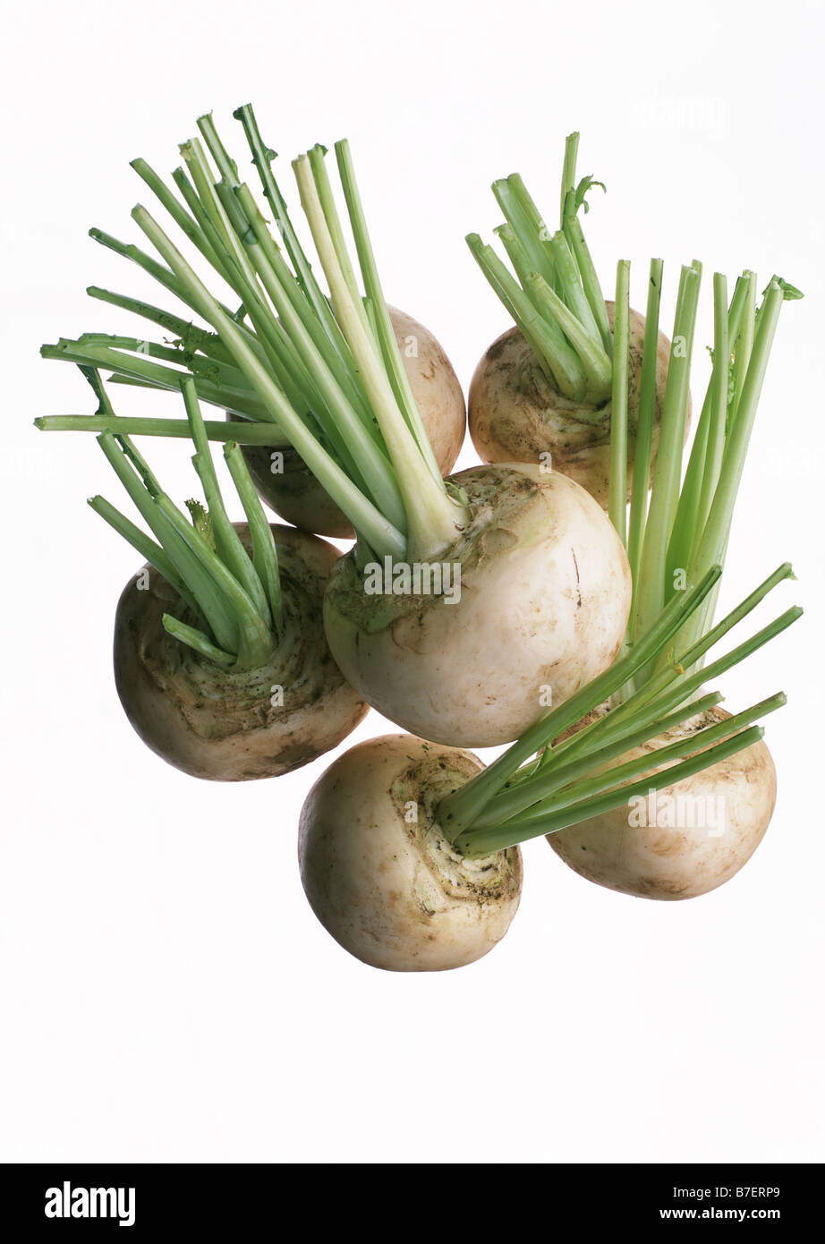 Image of turnip Cut Out Stock Images & Pictures - Alamy