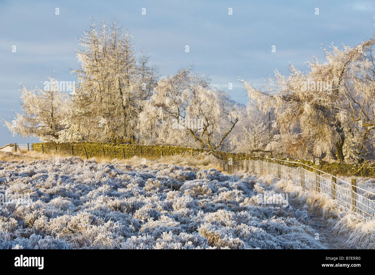 Heavy frost park hi-res stock photography and images - Alamy