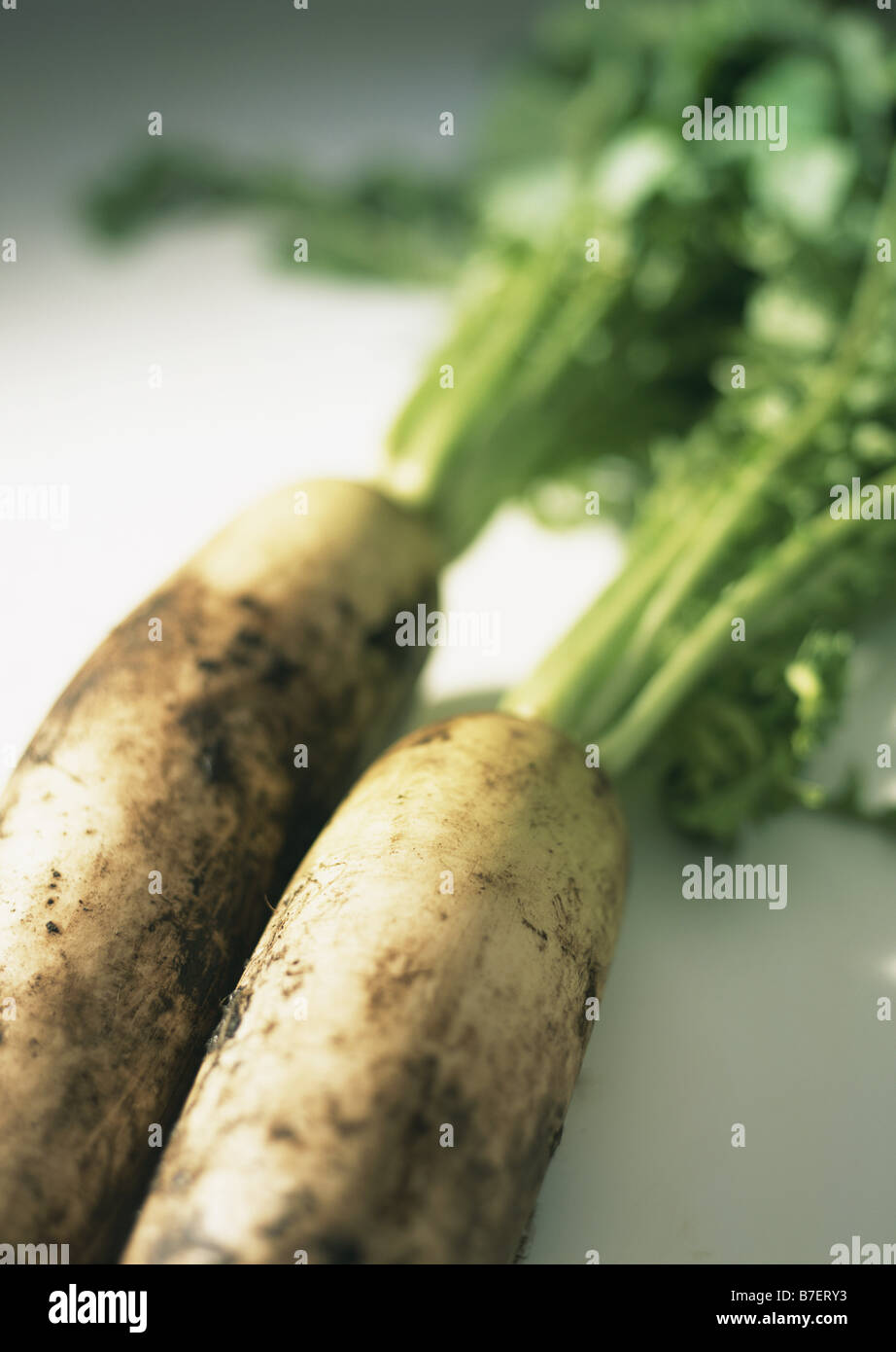 White radish sticks hi-res stock photography and images - Alamy