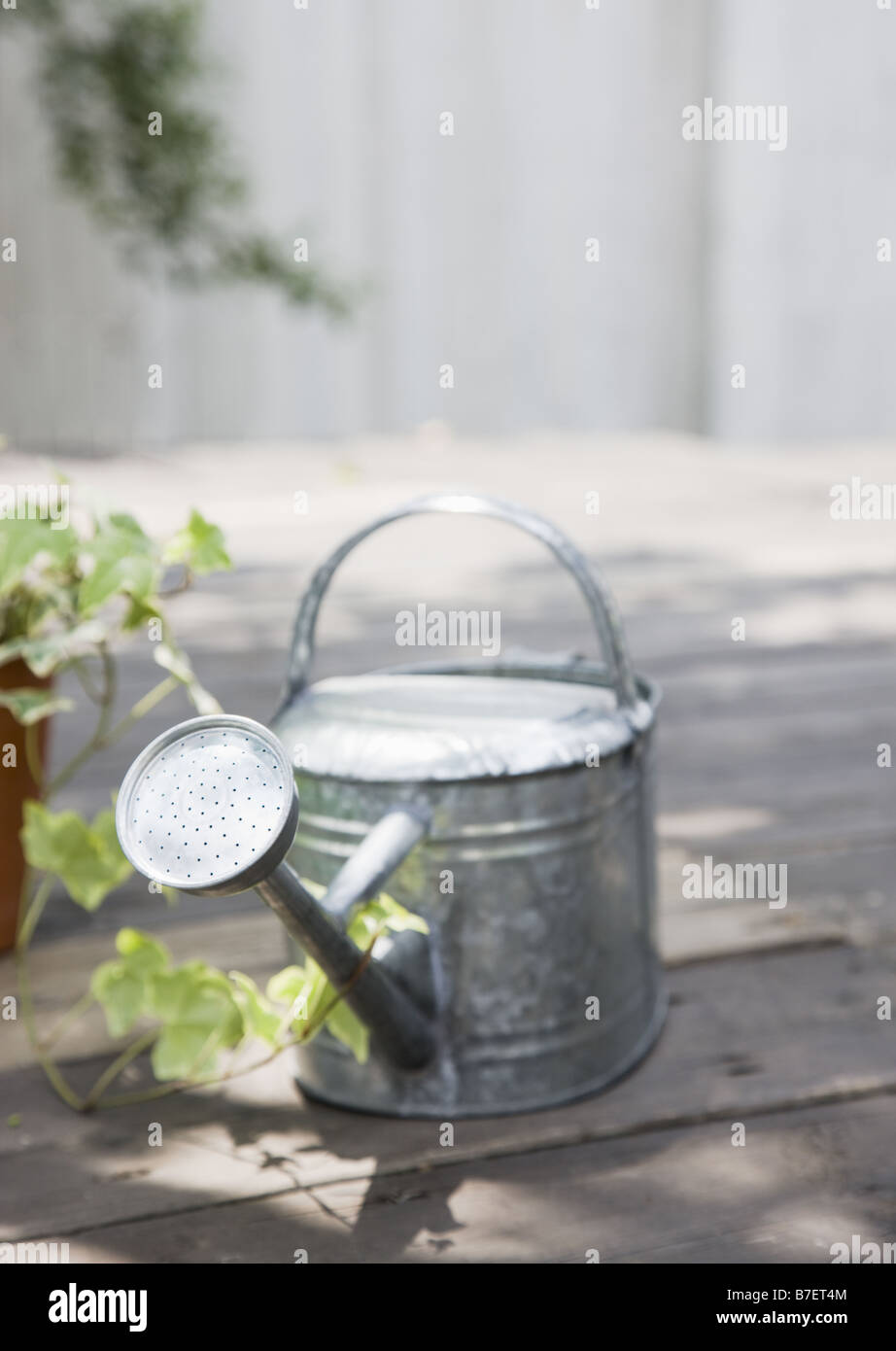 Sprinkling can hi-res stock photography and images - Alamy