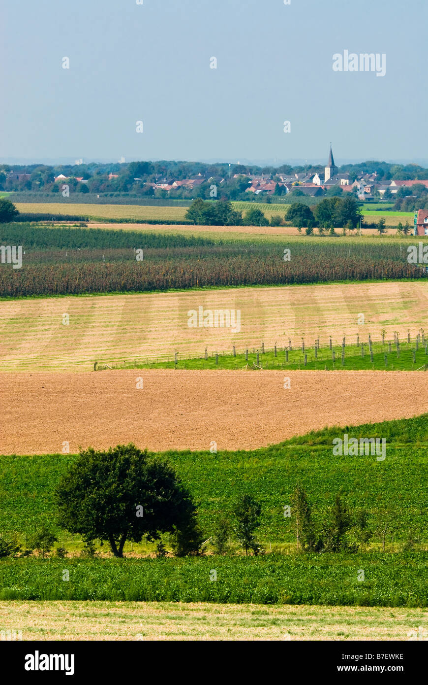 Beautiful Farmland