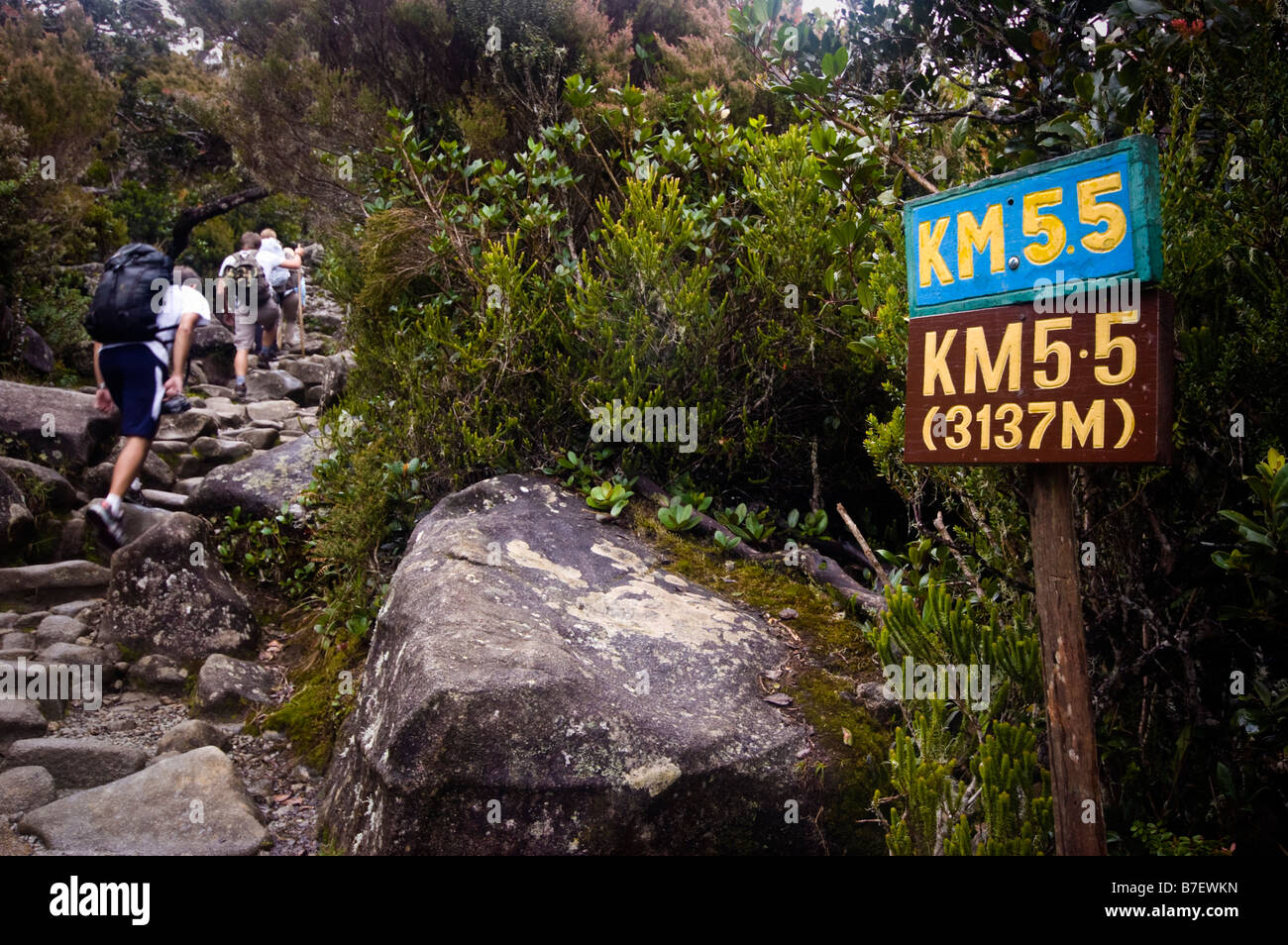 Waypoint on the trek up Mount Kinabalu, Borneo, Malaysia Stock Photo ...