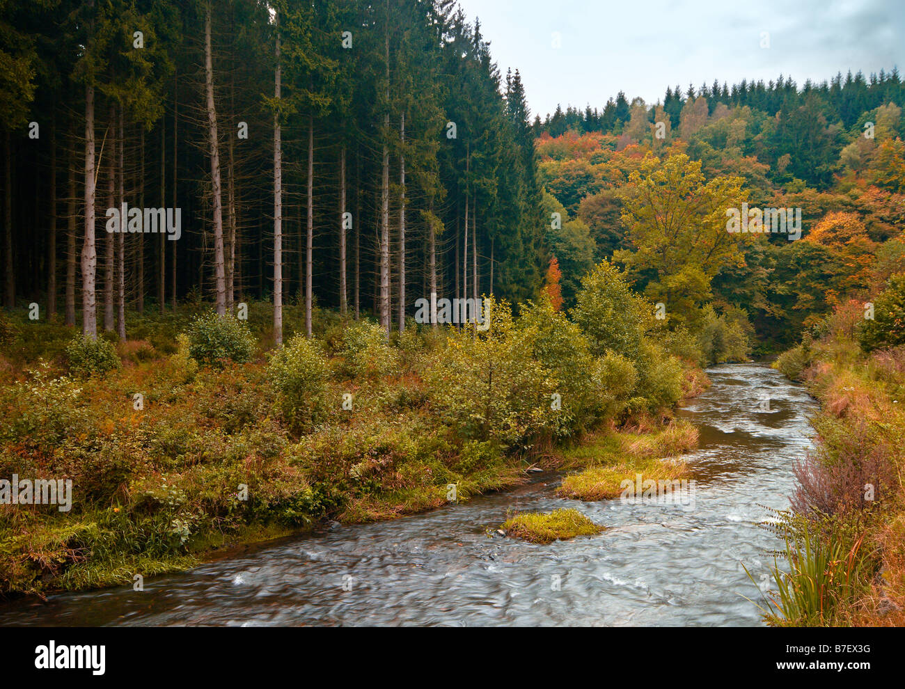 Ourthe River Ardennes Belgium in autumn Stock Photo - Alamy