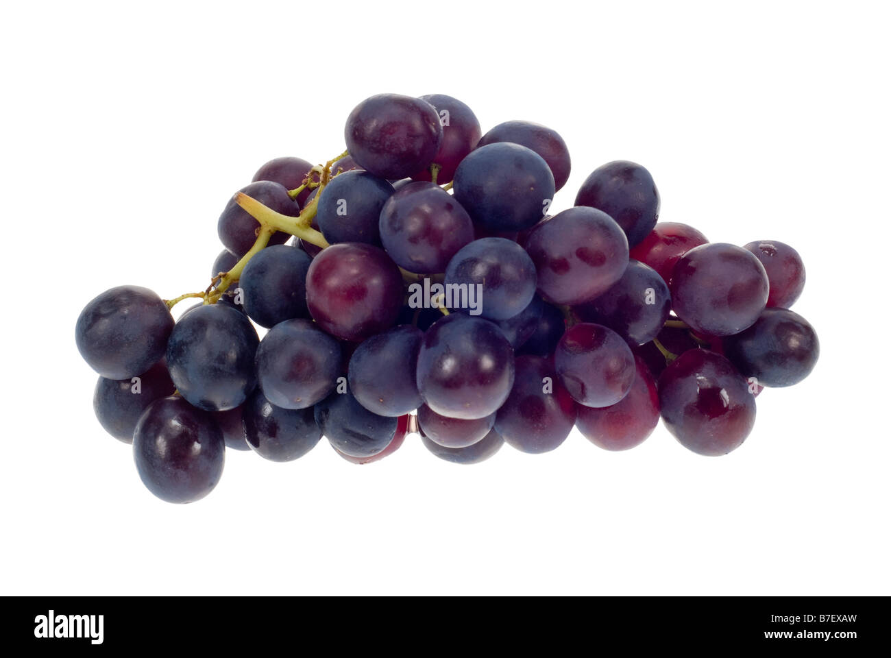 The sour grapes bunch Cut Out Stock Images & Pictures - Alamy