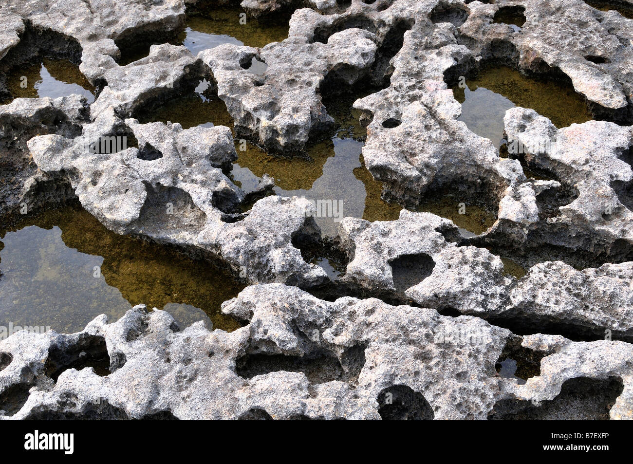 Rock pools rockpools hi-res stock photography and images - Alamy