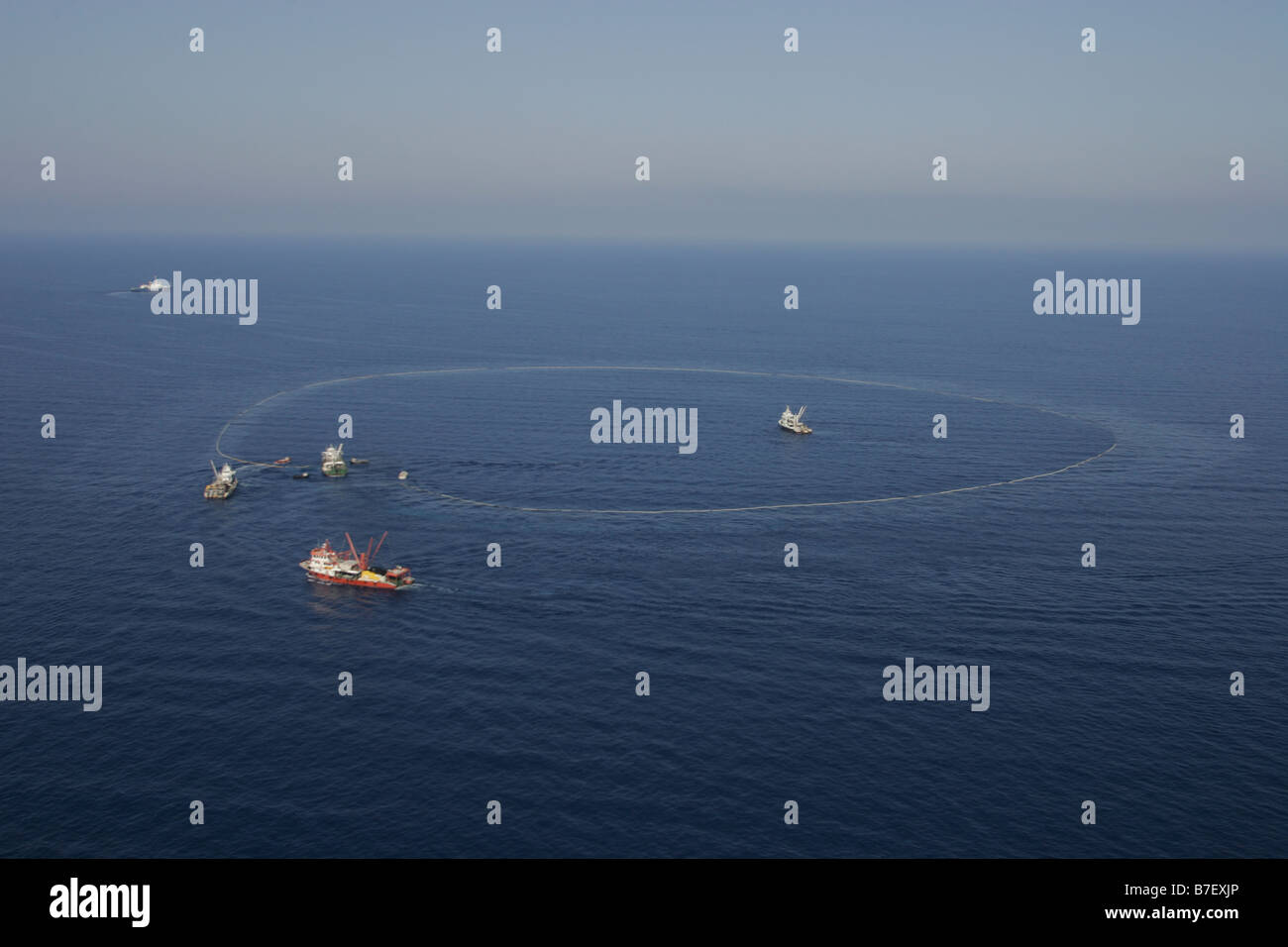 Turkish Tuna Fleet Purse Seine fishing for Bluefin Tuna, Turkey Stock ...