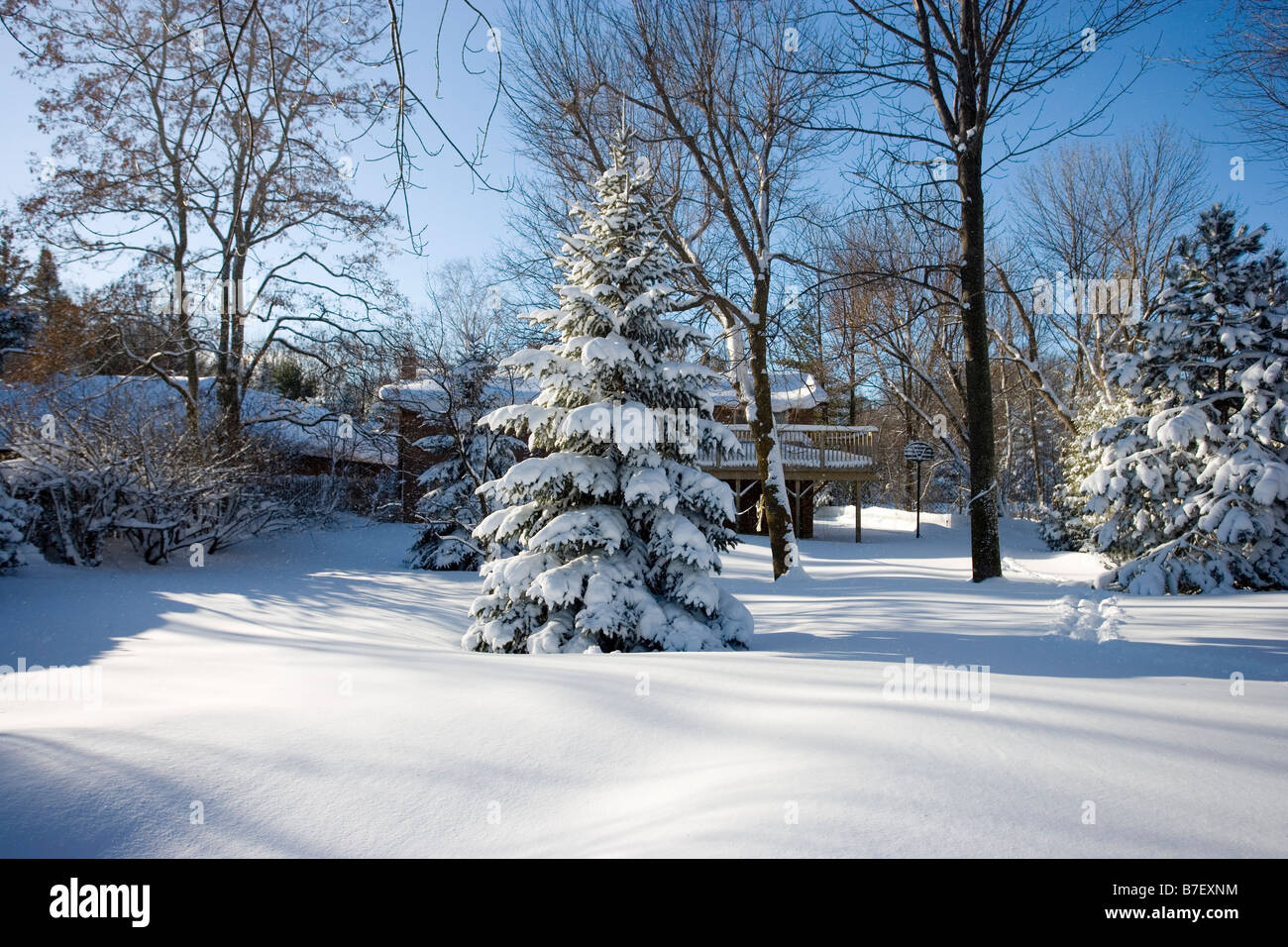 Ontario north winter snow landscape hi-res stock photography and images ...