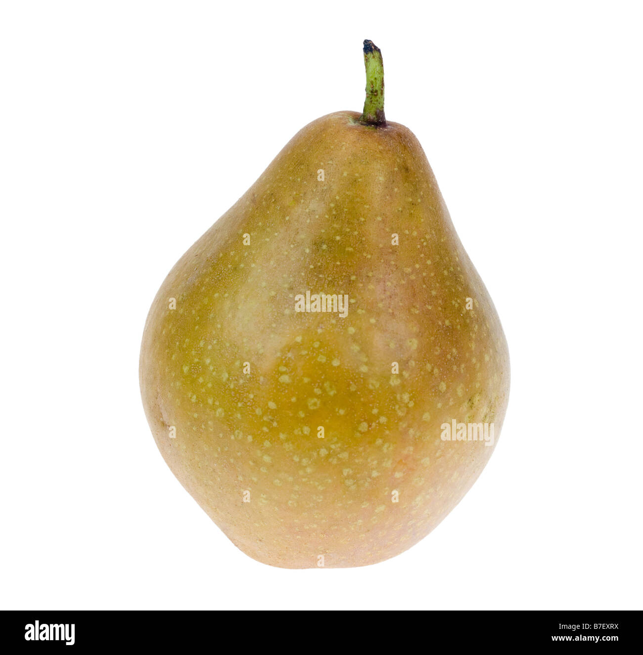 fresh pear isolated on a white background Stock Photo - Alamy