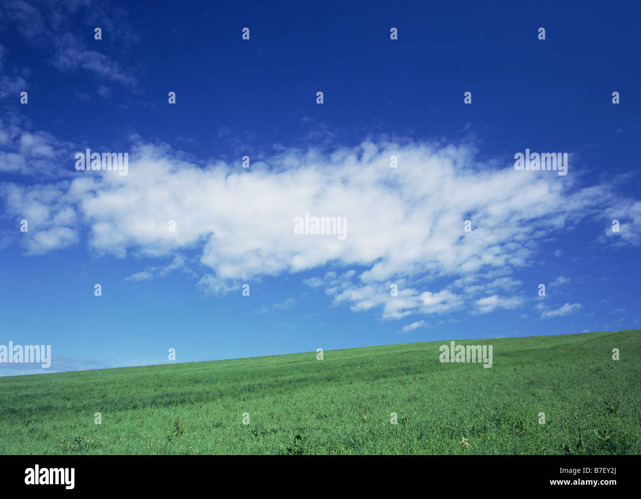 Field and sky Stock Photo - Alamy