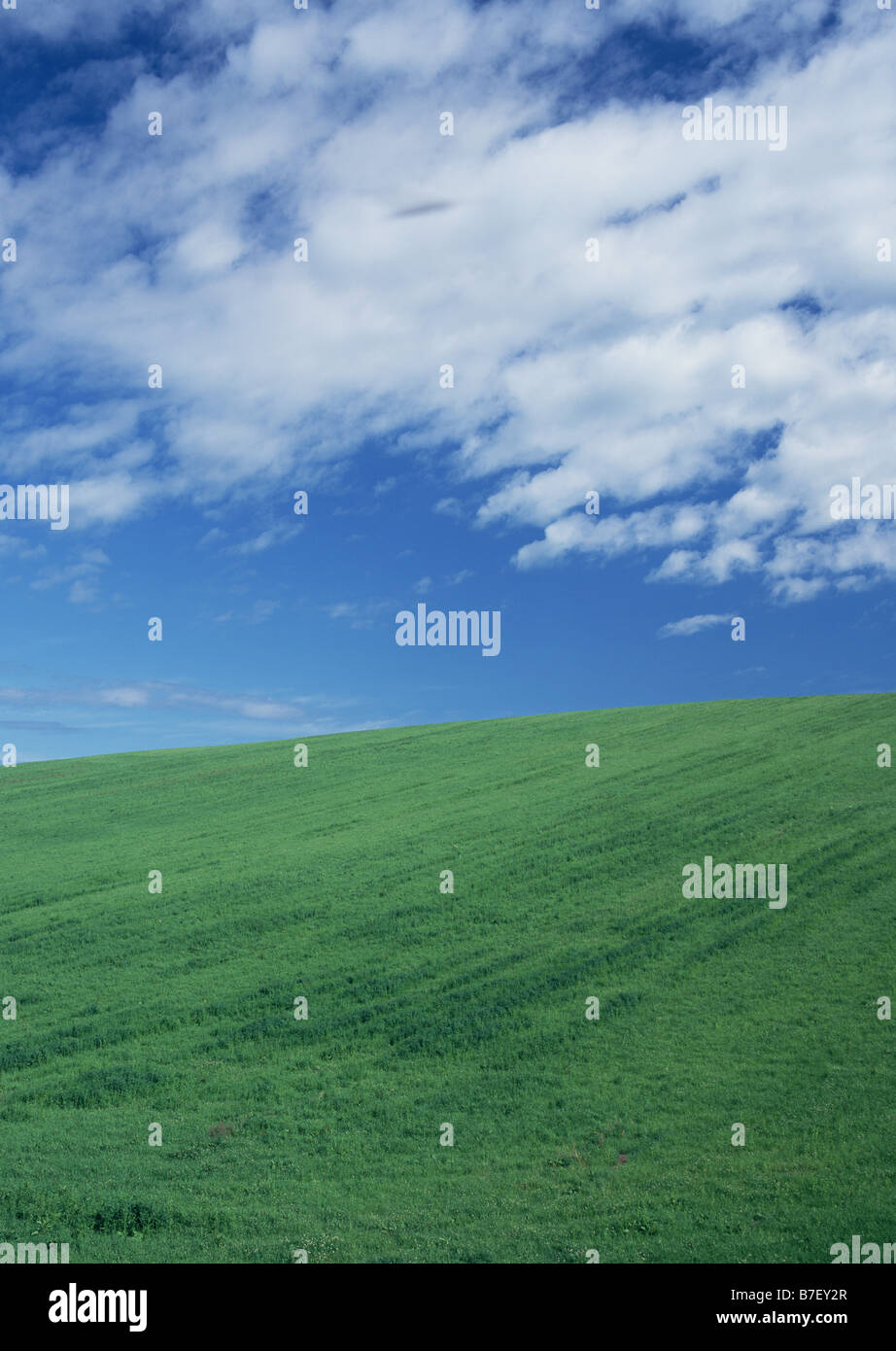 Field and sky Stock Photo - Alamy