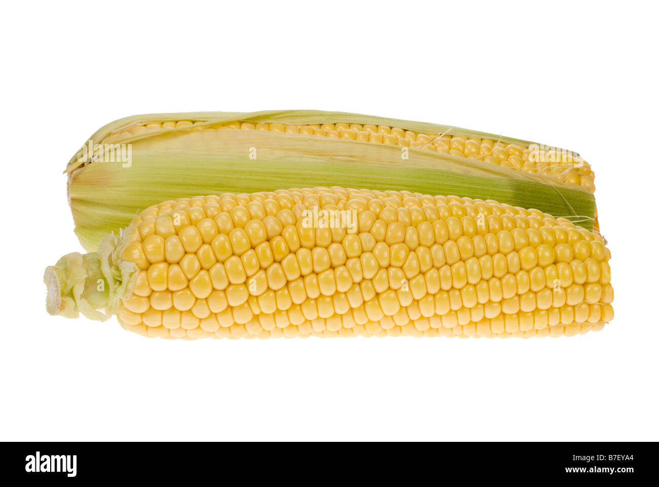 fresh corn cob isolated on a white background Stock Photo - Alamy